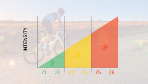 The Workout Plateau Explained: Why It Happens and How to Overcome It ...