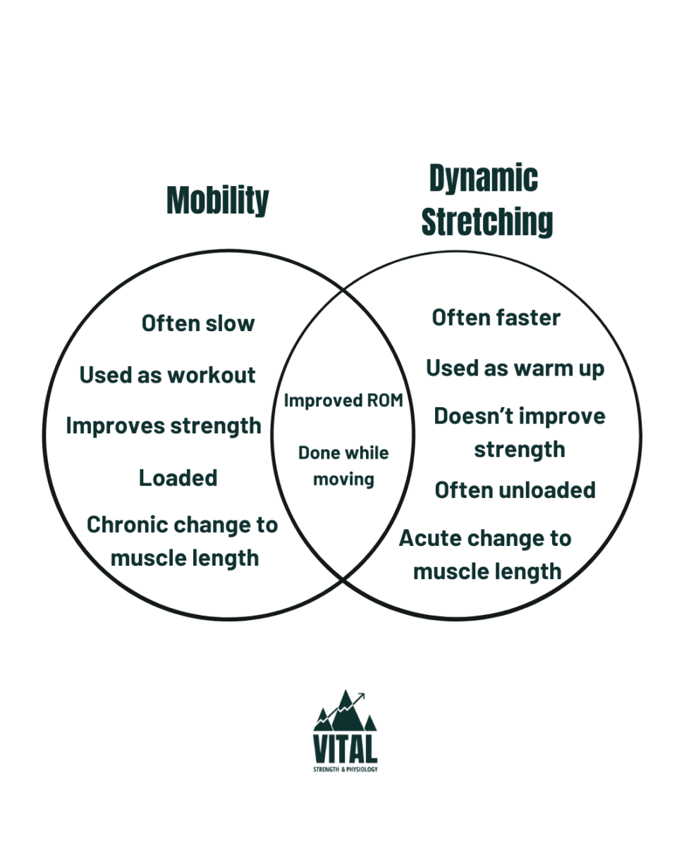 The Importance of Hip Mobility for Athletic Performance